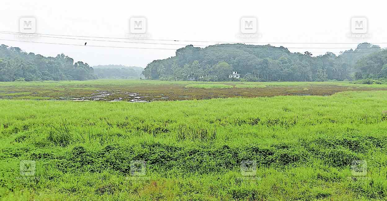 എങ്ങുമെത്താതെ പോളച്ചിറ അക്വാ–അഡ്വഞ്ചർ ടൂറിസം പദ്ധതി ...