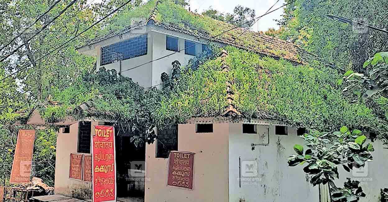 സമയം കുറവ്; പരിഹാരം കാത്ത് ഒട്ടേറെ വിഷയങ്ങൾ | Sabarimala Temple ...