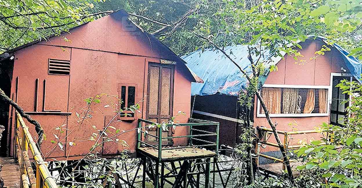 അറ്റകുറ്റപ്പണി നടത്താതെ ബാംബൂ ഹട്ടുകൾ; വരുമാനവും വേണ്ടേ ? | bamboo huts ...