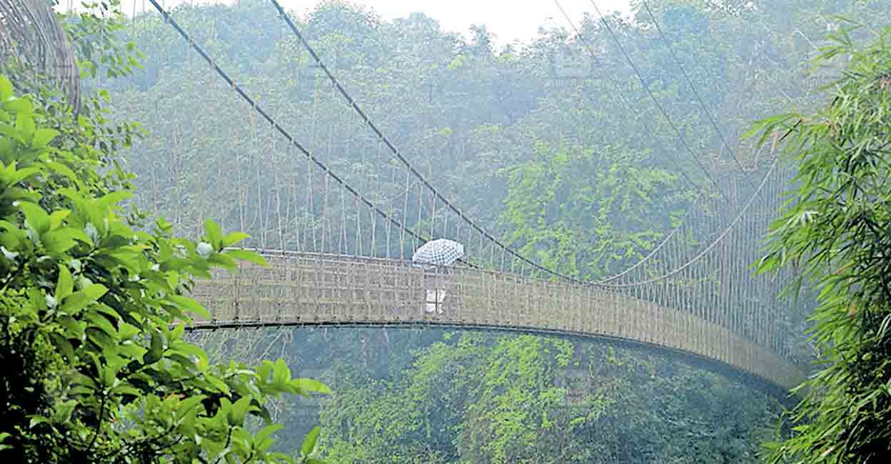 അക്കരെയിക്കരെ, അപകടം അരികെ; തേലപ്പുഴക്കടവ് തൂക്കുപാലം അപകടാവസ്ഥയി ...