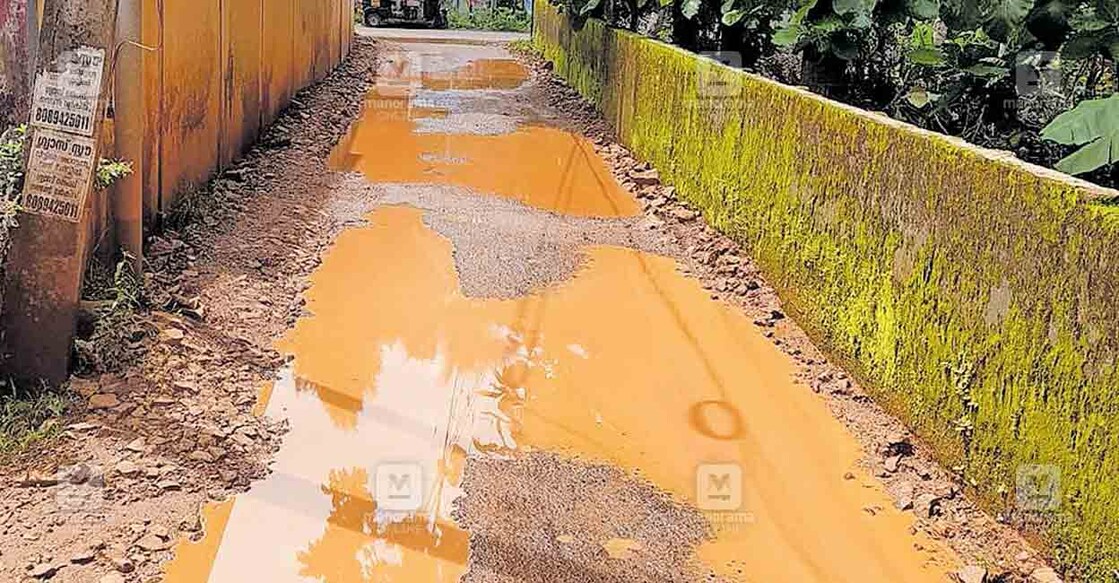 ചെളിക്കുളത്തിൽ ഒളിച്ച് ഒരു റോഡ്