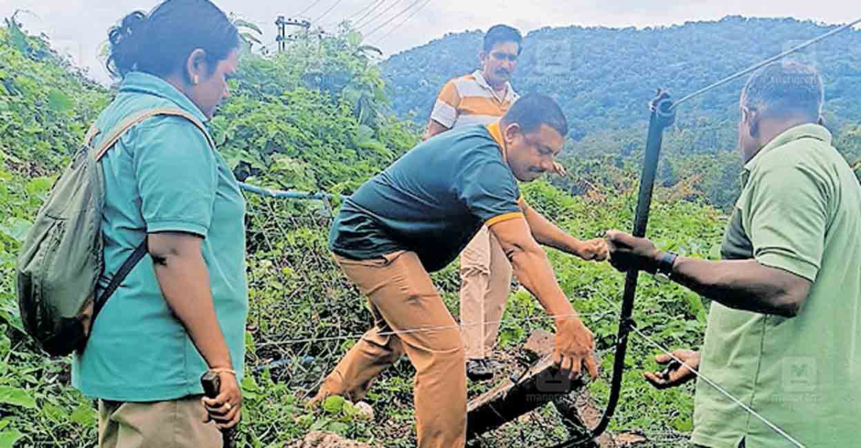 ചിറ്റാർ ഊരാമ്പാറയിൽ വീണ്ടും ചില്ലികൊമ്പനും കുട്ടിശങ്കരനും; സൗരോ ...