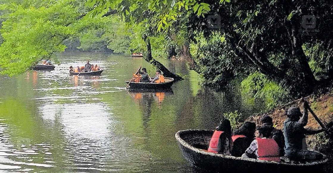 അടവി കുട്ടവഞ്ചി: അവധി തിരക്കിൽ റെക്കോർഡ് വരുമാനം; 303 സവാരികളി ...
