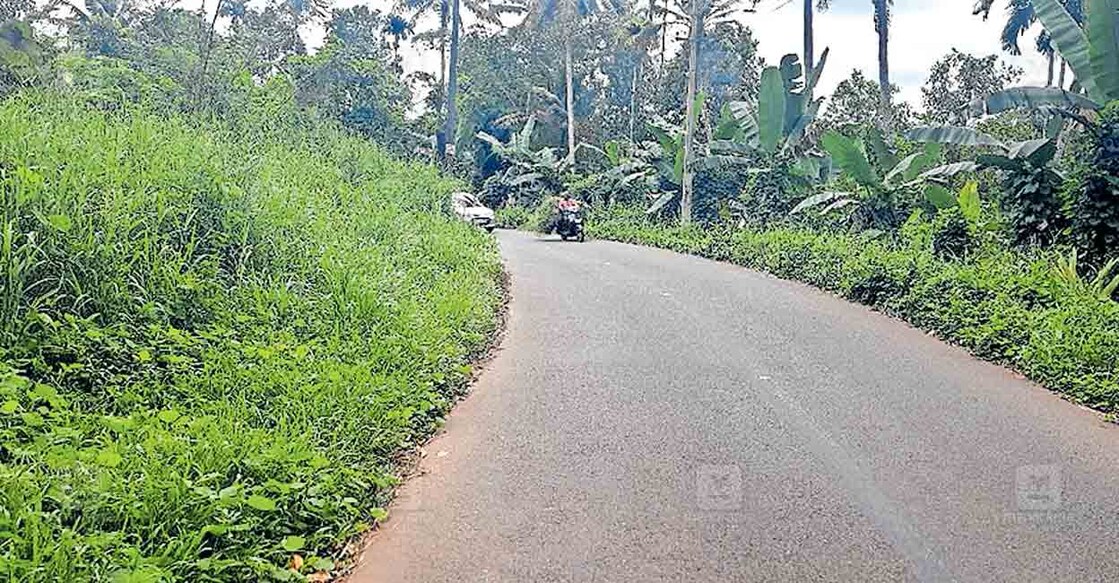 കാഴ്ച മറച്ച് കാട്; വെട്ടി മാറ്റാൻ നടപടിയില്ല | Road safety Kerala ...