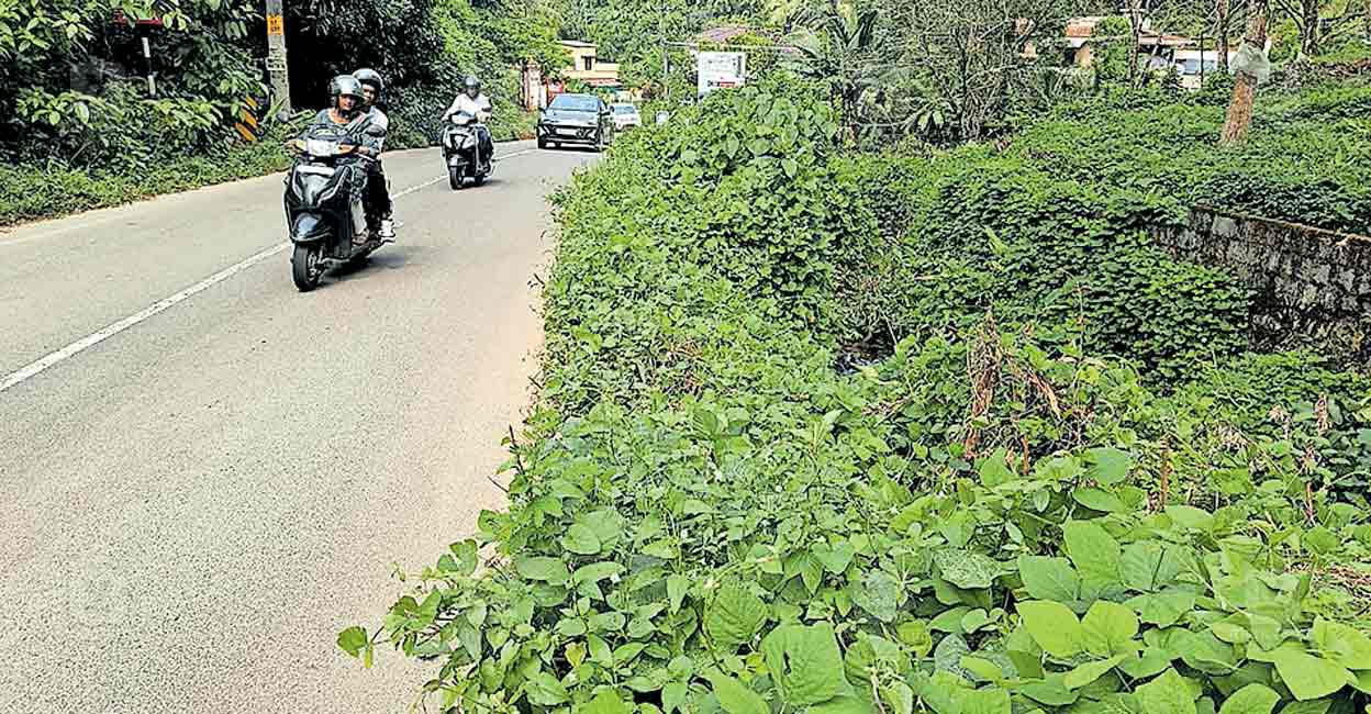 റാന്നി– തിരുവല്ല റോഡ്: പ്രഖ്യാപനം കൊണ്ട് അപകടം തടയാൻ സാധിക്കുമോ? | Road ...