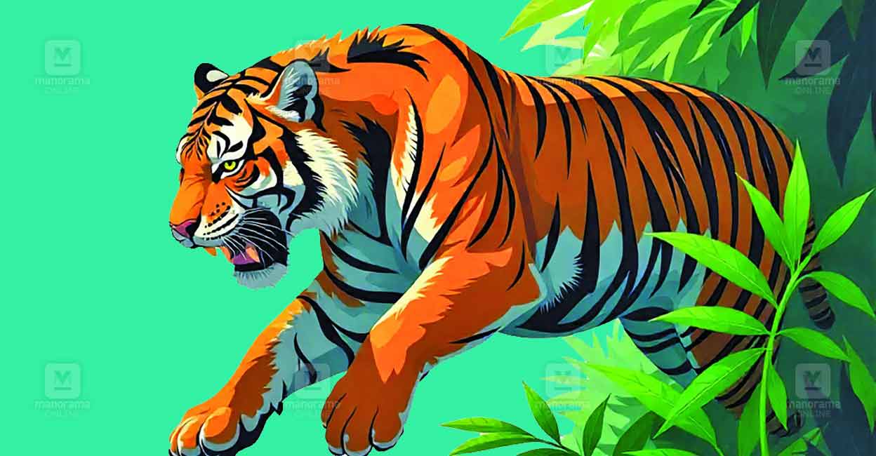 ദേവികുളത്ത് കറവപ്പശുവിനെ കടുവ കടിച്ചുകൊന്നു | Munnar tiger attack ...