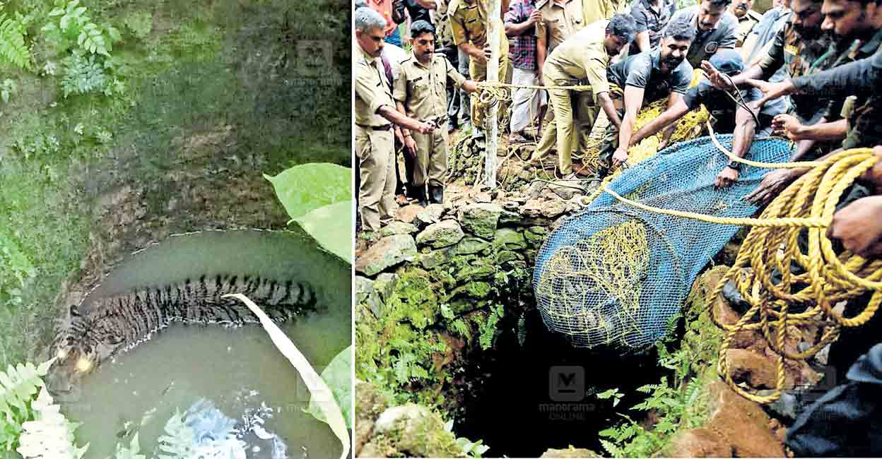 ‘ആൾമറയില്ലാത്ത കിണറ്റിൽ നിന്നു ഭീതിപ്പെടുത്തുന്ന ശബ്ദം; പിന്നാലെ ...