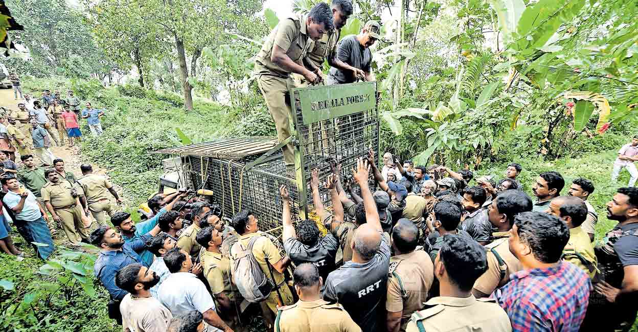 ‘ആൾമറയില്ലാത്ത കിണറ്റിൽ നിന്നു ഭീതിപ്പെടുത്തുന്ന ശബ്ദം; പിന്നാലെ ...