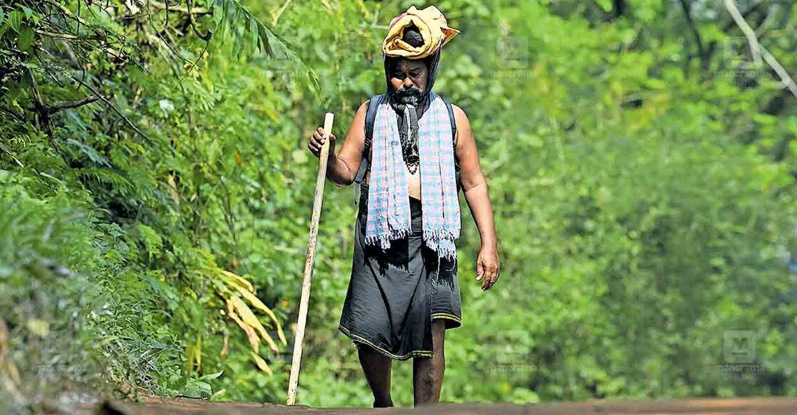 Pilgrims embrace nature on the Karimala forest trek to Sabarimala ...