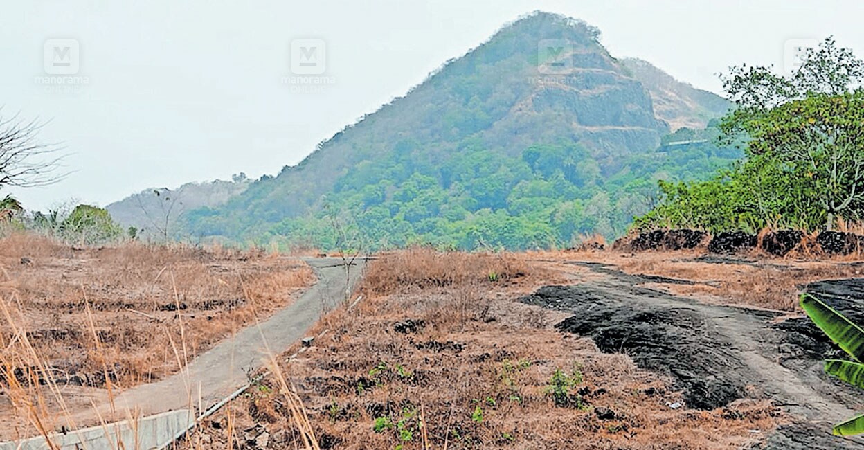 കനത്തുയർന്ന് വേനൽച്ചൂട്; കരിഞ്ഞുണങ്ങി നാട് | Perumbetti fire ...