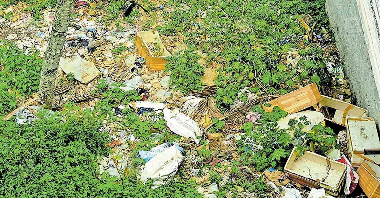 മാലിന്യമുക്ത പത്തനംതിട്ട: ലക്ഷ്യം ഇനിയും അകലെ | Pathanamthitta waste ...