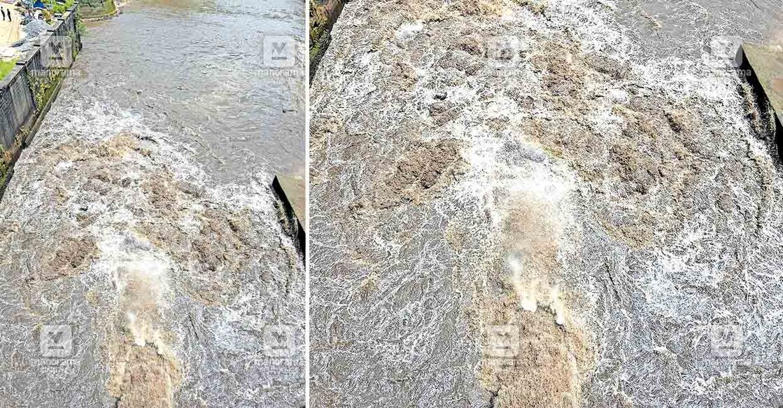 കാരിക്കയം അയ്യപ്പ ജലവൈദ്യുത പദ്ധതി ജനറേറ്റർ നിർത്തിവച്ചു; വറ്റിവരണ്ട് ...