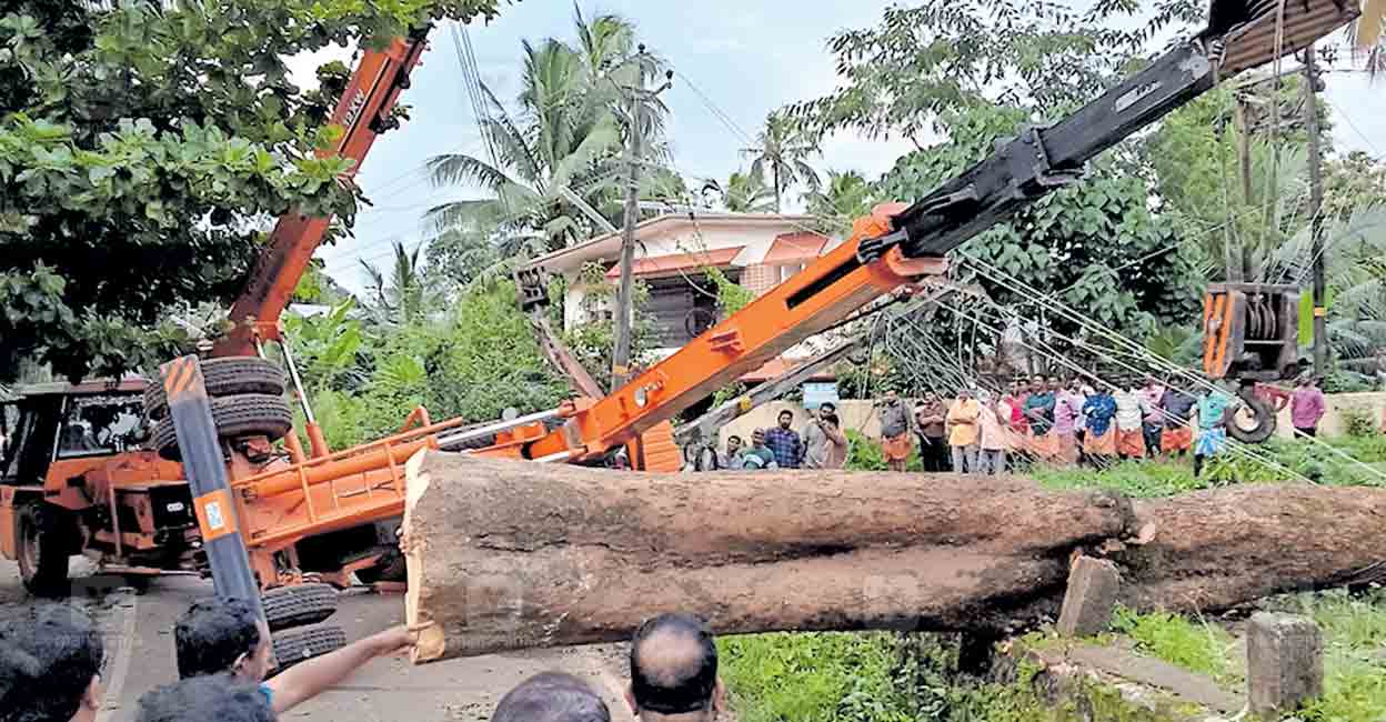 മരം മുറിയ്ക്കുന്നതിനിടെ ക്രെയിൻ മറിഞ്ഞ് പോസ്റ്റും ലൈനും തകർന്നു ...