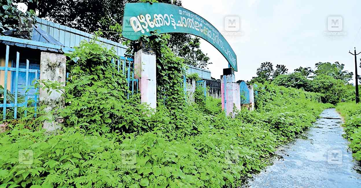 മുഴുവനാകാത്ത സ്വപ്നം ഈ ചാൽ; പണം തികഞ്ഞില്ല, മുഴുക്കോട്ട് ചാ ...