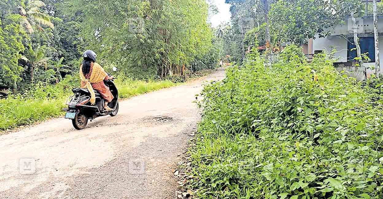 ആറാട്ടുകടവ്–വഞ്ചിമൂട്ടിൽ–മുണ്ടടിച്ചിറ റോഡ്: പ്രതീക്ഷയോടെ നാട് റോഡ് ...