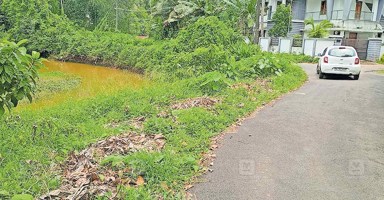 ആറാട്ടുകടവ്–മുണ്ടടിച്ചിറ റോഡ്: കീത്തലപ്പടി വളവിൽ കാടുകയറി അപകടസാധ്യത ...