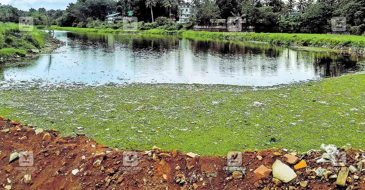 മുട്ടാർ നീർച്ചാലിൽ കുട്ടവഞ്ചി സവാരി; വീണ്ടും മാലിന്യം തള്ളുന്നത് തടയുക ...