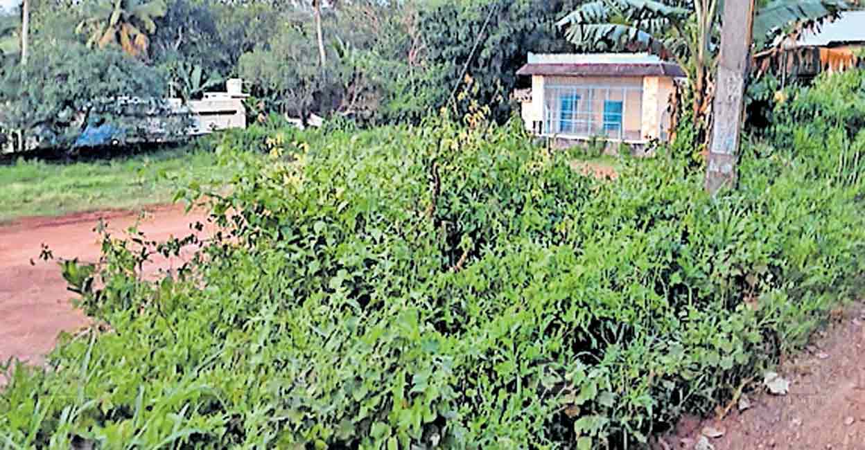 ശോച്യാവസ്ഥയിൽ മതിയൻചിറ സ്റ്റേഡിയം; വർഷങ്ങളായി പരിപാലനമില്ല | Stadium ...