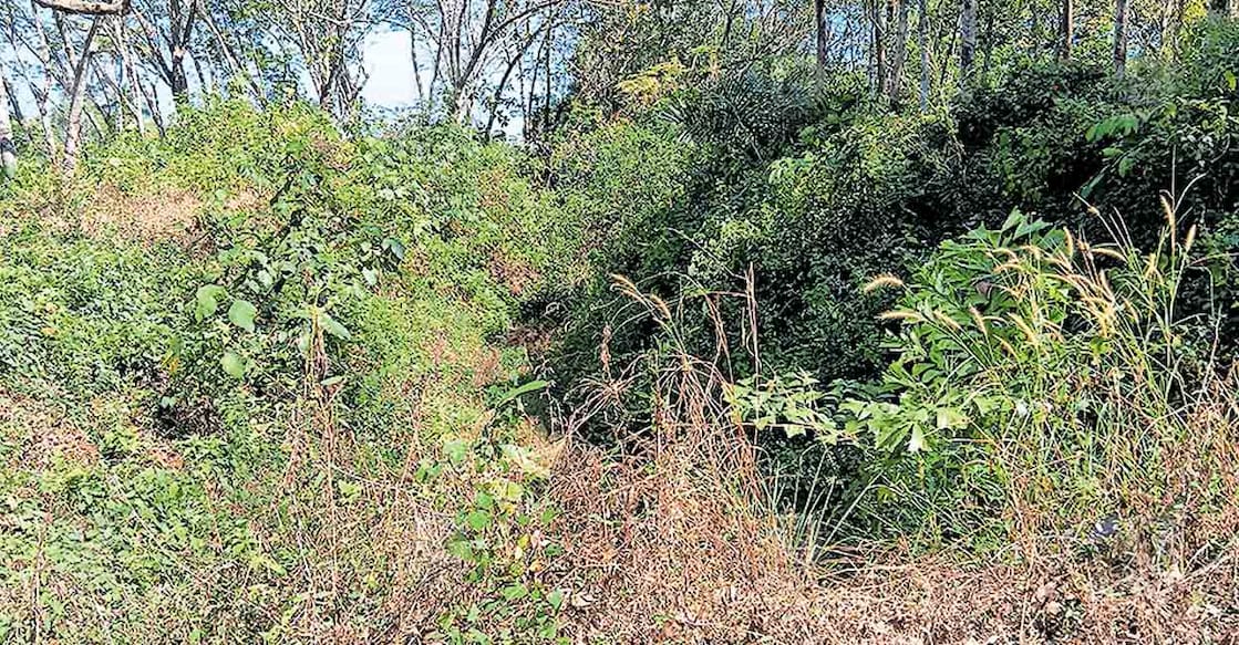 വേനൽ കടുത്തു; കനാൽ തുറക്കണം | Canal irrigation Kerala | Water scarcity ...