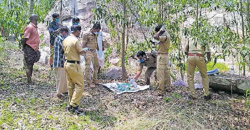 റബർ തോട്ടത്തിൽ ഒരു വർഷത്തിലേറെ പഴക്കമുള്ള മൃതദേഹം