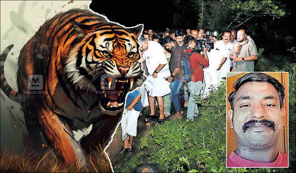 കടുവയുടെ വരകൾ‌ ആര് എണ്ണി നോക്കും? പ്രജീഷിനെ പിടികൂടി കൊന്ന സ്ഥലത്ത് ...