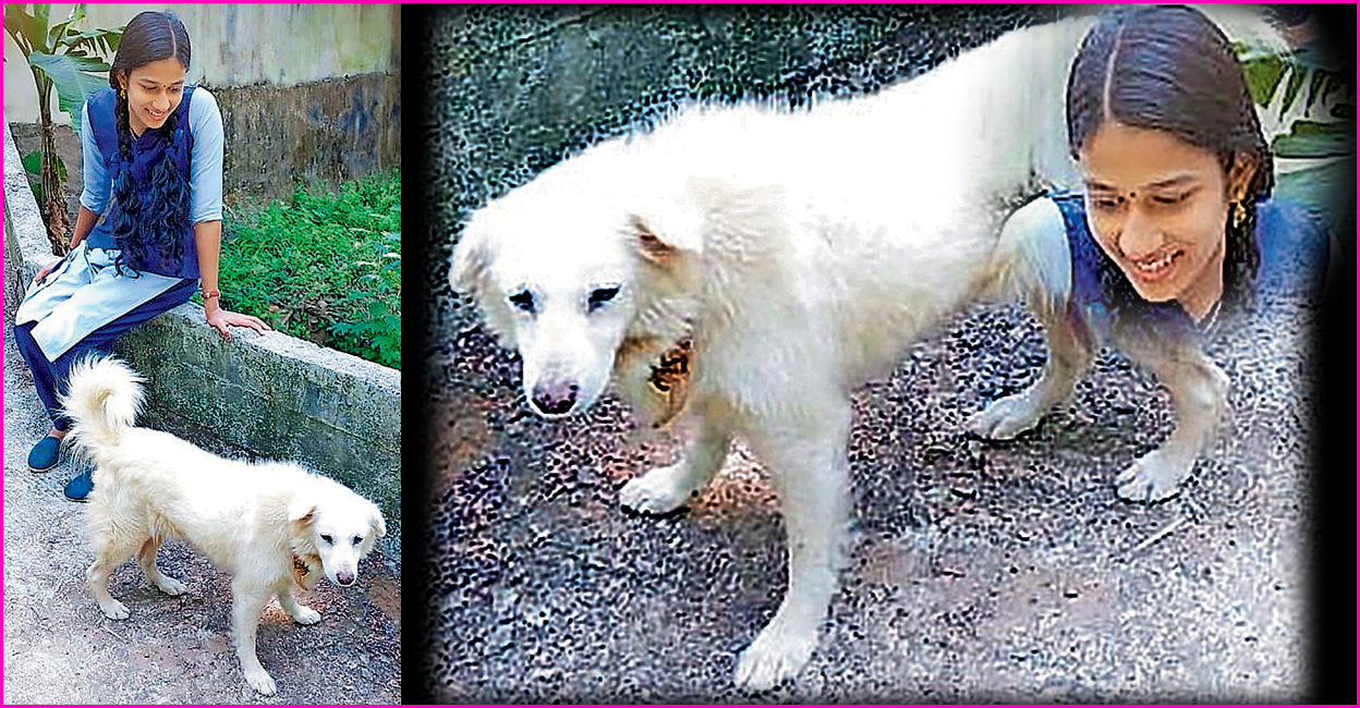 വിഷ്ണുപ്രിയയുടെ കുറിപ്പ് വൈറലായി ; രണ്ടാം നാൾ ‘ കുട്ടു ’ തിരിച്ചെത്തി