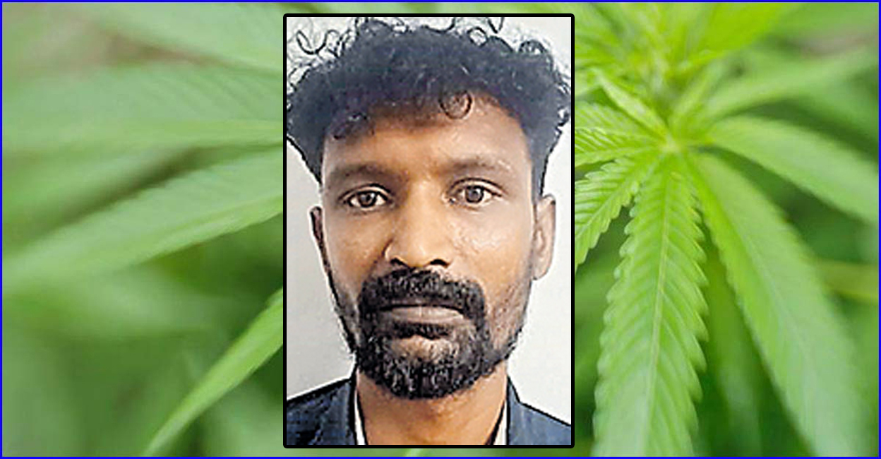 കഞ്ചാവുമായി യുവാവ് അറസ്റ്റിൽ