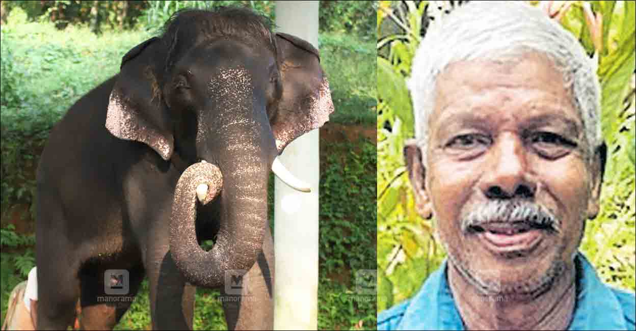 ‘കോന്നി സുരേന്ദ്ര’നെ കണ്ടെത്തിയ സുരേന്ദ്രന് ഒരിക്കൽക്കൂടി അവനെ കാണാ ...