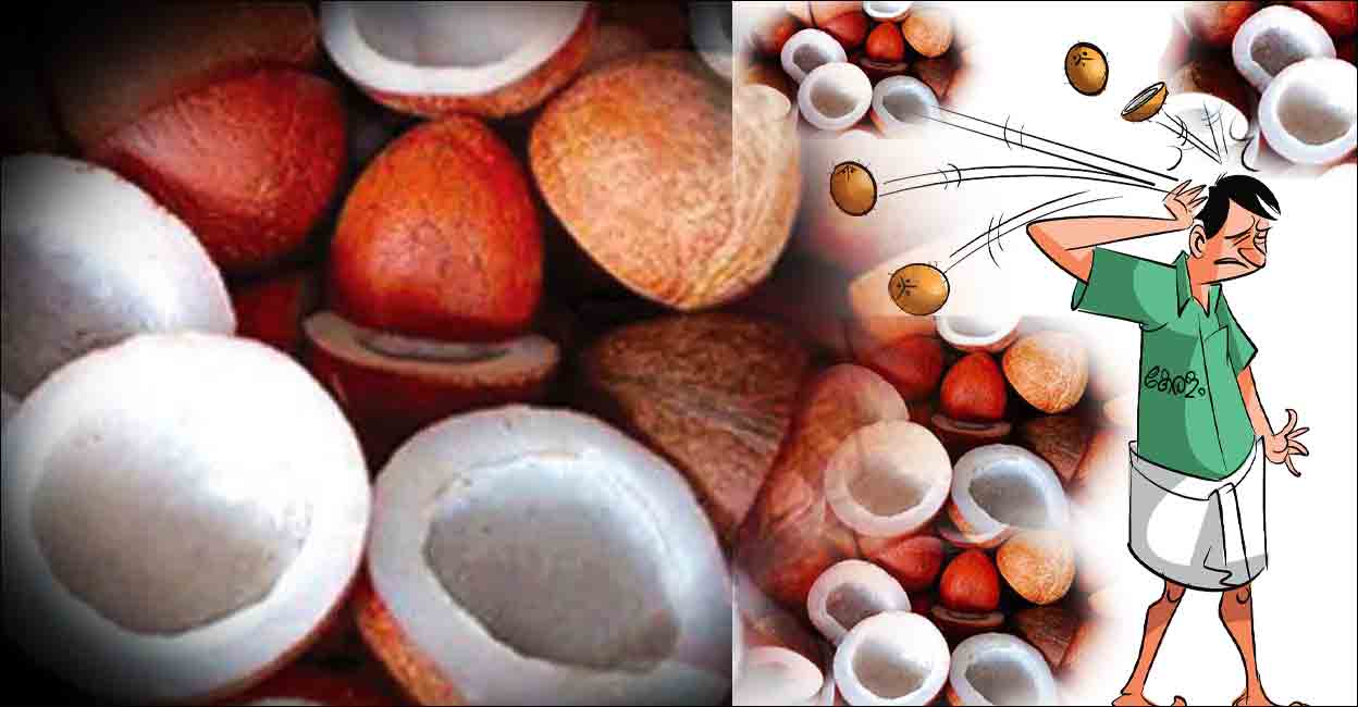 കൊപ്ര വില ഇടിയുന്നു- Copra prices falling | Manorama News | Manorama Online