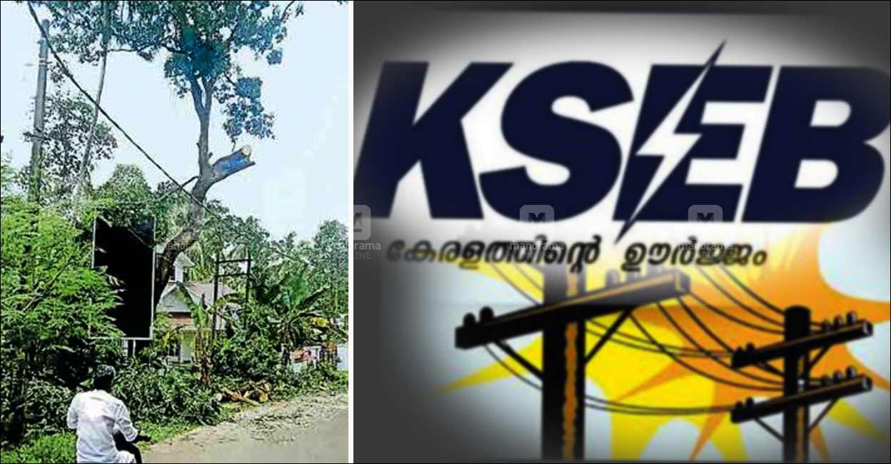 ലൈൻ അഴിച്ചു കൊടുക്കാന്‍ 60,000 രൂപ; ഇടപെട്ട് കലക്ടർ, പണം വാങ്ങാതെ മാവ് ...