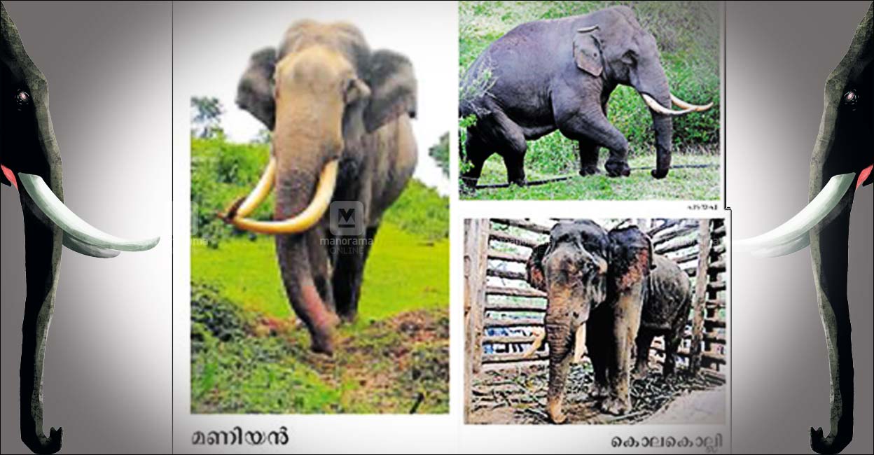 വർഷങ്ങൾക്കു മുൻപ് ദേഹത്തു ടയർ കത്തിച്ചിട്ടയാളെ തരം കിട്ടിയപ്പോൾ തട്ടിയ ...