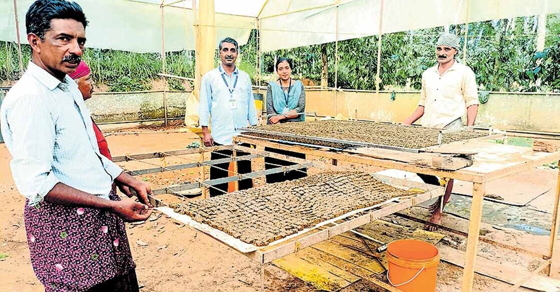 വയനാടിന്റെ ‘കെട്ടിനാട്ടി’ നെൽക്കൃഷി ഇനി രാഷ്ട്രപതി ഭവനിലേക്കും | Farmer ...