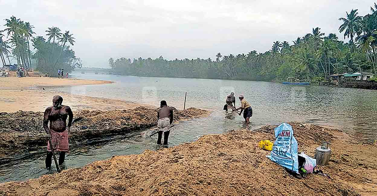 മരങ്ങൾ കടപുഴകി വീണ് നാശനഷ്ടം | Thiruvananthapuram rain update ...