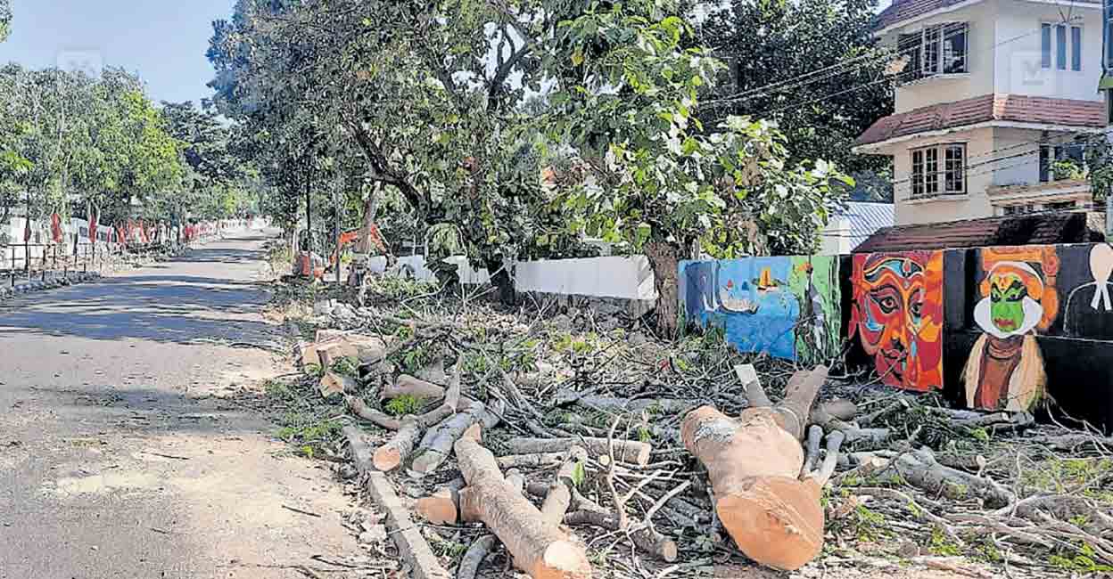 മരങ്ങളുടെ കൂട്ടക്കുരുതി; മുറിച്ചു തള്ളിയത് സിവിൽ സ്റ്റേഷ ...