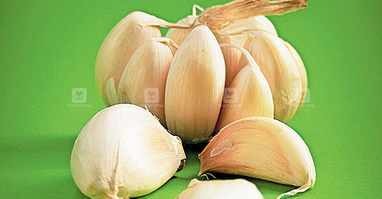 അറിയാം വെളുത്തുള്ളിയുടെ ആരോഗ്യ ഗുണങ്ങൾ - Eating Garlic | Health tips ...