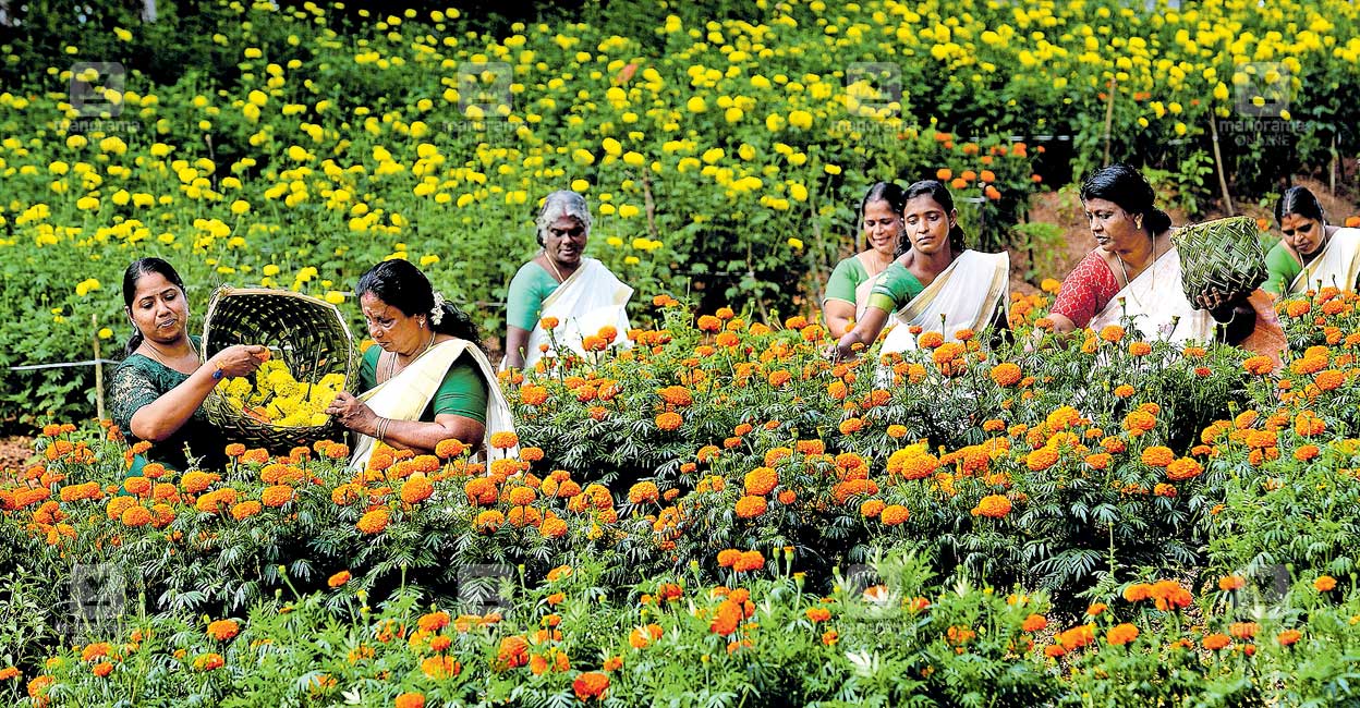 ഭിന്നശേഷിക്കാർക്കുള്ള ‘സൗഹൃദ’ വിദ്യാലയത്തിൽ പുഷ്പക്കൃഷി | Children ...