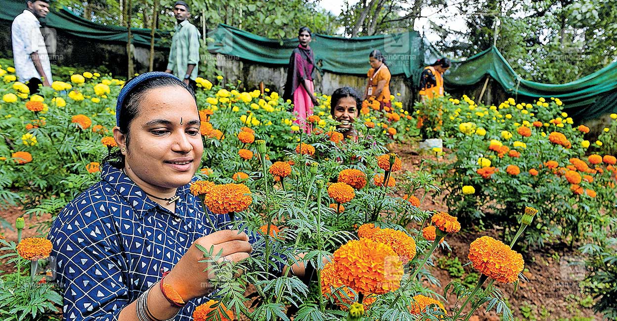 ഭിന്നശേഷിക്കാർക്കുള്ള ‘സൗഹൃദ’ വിദ്യാലയത്തിൽ പുഷ്പക്കൃഷി | Children ...