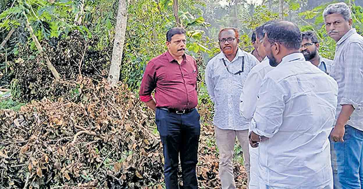 കരമനയാറിന്റെ കരയിലെ മരംമുറി ; ആർഡിഒ പരിശോധിച്ചു | Payyadu | Aruvippuram ...