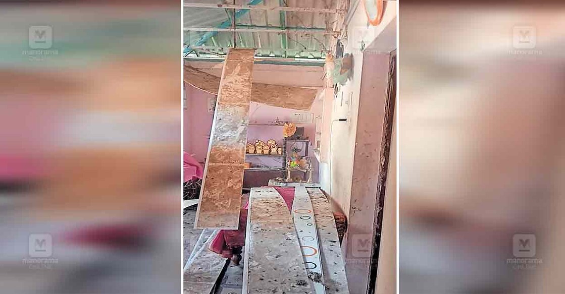 കുരങ്ങൻമാരുടെ ആക്രമണം : വലഞ്ഞ് കാക്കാണിക്കര; വിദ്യാർഥിക്ക് പരുക്ക്, വീടിന്റെ സീലിങ് നശിപ്പിച്ചു ...