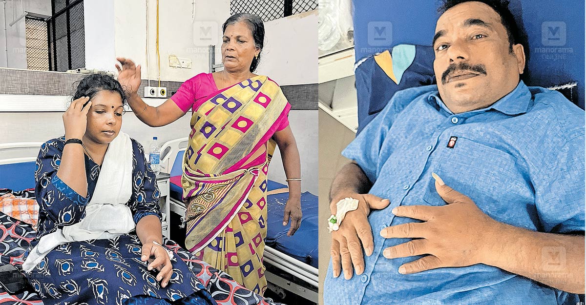‘കുത്തുകൊണ്ടു വീണുപോയി; അവിടേക്കു പോകാൻ ഭയമാണ്’: സിവിൽ സ്റ്റേഷനിലെ ...