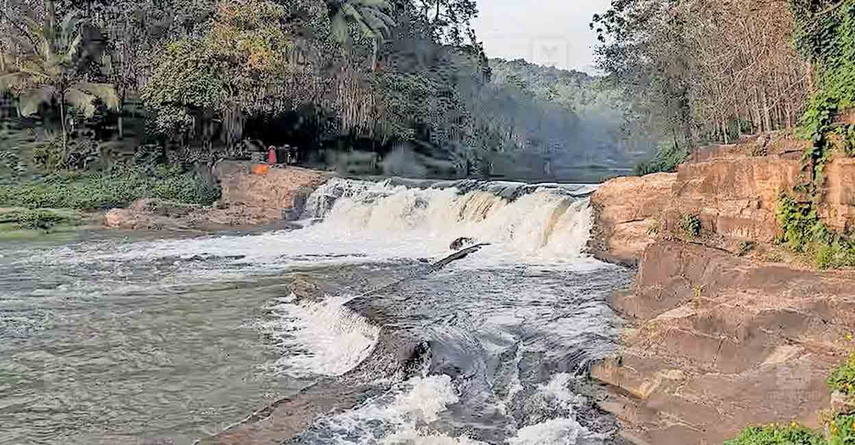 ടൂറിസത്തിന്റെ സാധ്യതകളുമായി വാമനപുരം താവയ്ക്കൽ കടവ് | Vithura Thavakkal ...