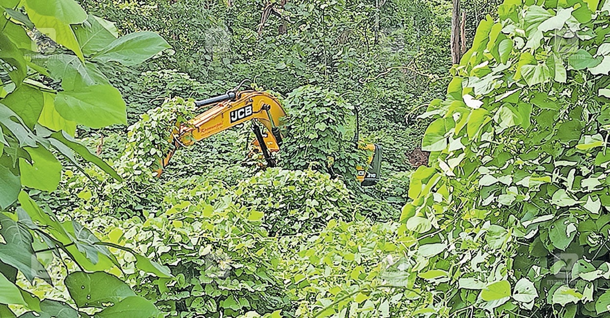 കിടങ്ങ് നിർമാണം പാതിവഴിയിൽ നിലച്ച നിലയിൽ; ആനപ്പേടിയിൽ ആദിവാസി മേഖല | Palode elephant trenches ...