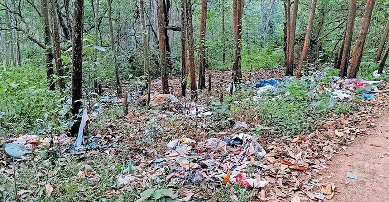 ചിറ്റൂർ – കാട്ടിലക്കുഴി റോഡിൽ മാലിന്യം തള്ളൽ പതിവായി | Waste disposal ...