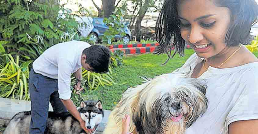 കുരയ്ക്കാത്ത നായയെ കാണണോ; വരൂ മണ്ണുത്തിയിലേക്ക്