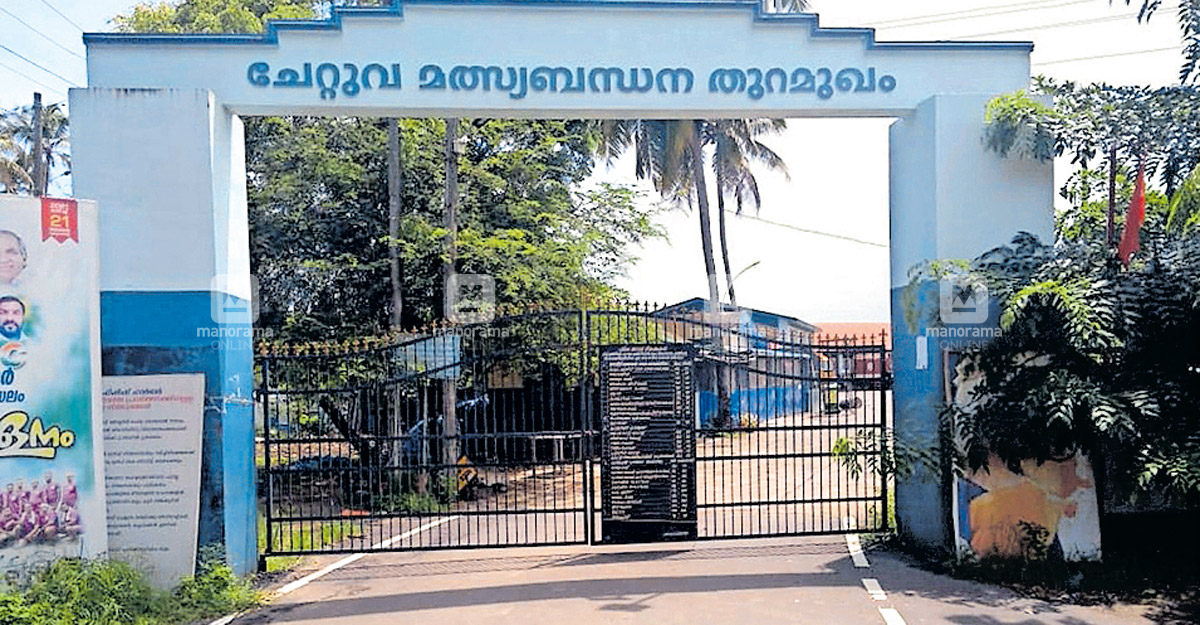 ലോക്ഡൗണിന് പിന്നാലെ ട്രോളിങ് നിരോധനവും; വറുതിയിൽ ചേറ്റുവ ഹാർബർ