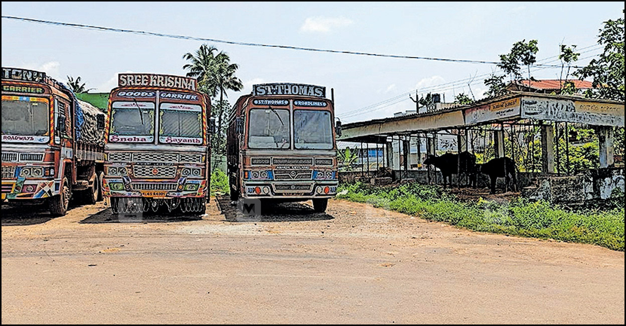 മിനി ബസ് സ്റ്റാൻഡ് ബസ് കണ്ടിട്ട് പതിറ്റാണ്ടുകളായി; അനാസ്ഥ ഇനിയെങ്കിലും ...