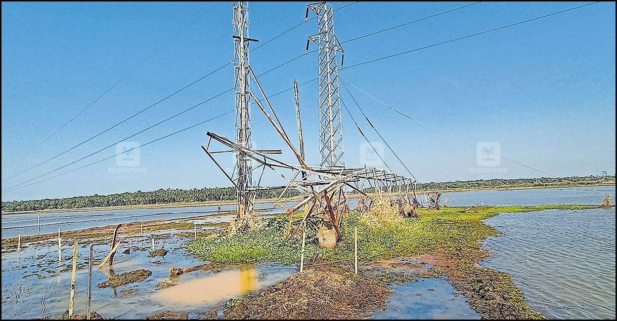 ചമ്മന്നൂർ കോൾപ്പാടത്ത് വൈദ്യുതി ലൈൻ ടവർ നിർമാണം തുടങ്ങി