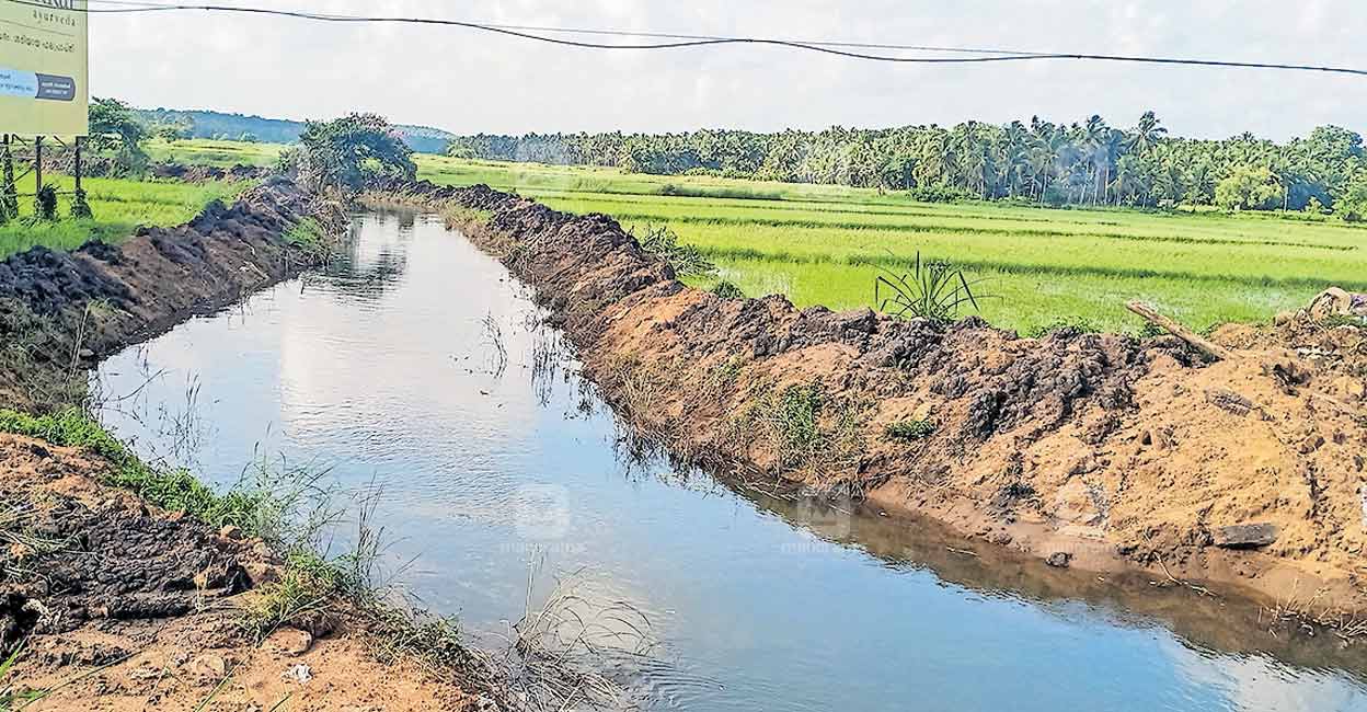 കടവല്ലൂരിൽ തോട് നവീകരണം മുടങ്ങി; ശോച്യാവസ്ഥയിൽ നൂറടി തോടിന്റെ ചില ഭാഗങ്ങൾ