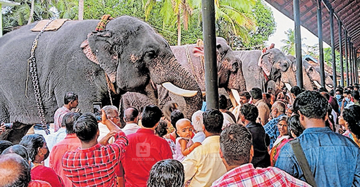ധന്വന്തരി ക്ഷേത്രത്തിൽ ഔഷധ സേവയും ആനയൂട്ടും