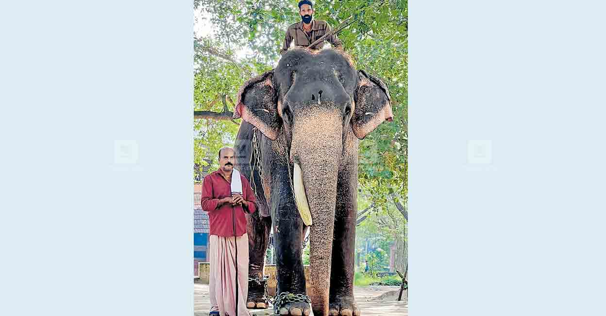 ‘ചന്ദ്രശേഖരൻ’ റൗഡി ലിസ്റ്റിലുള്ള കൊമ്പൻ; രതീഷിന്റെ വിയോഗത്തിൽ നടുങ്ങി ...